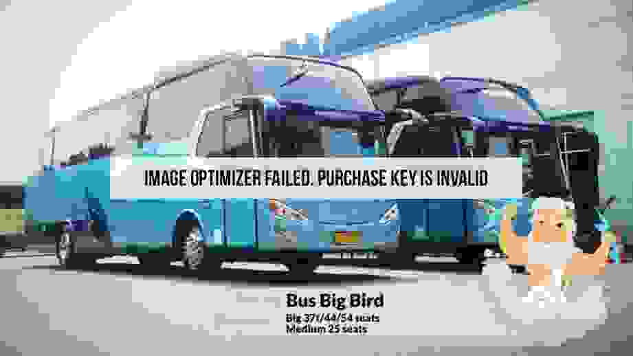 Charter Bus Pariwisata Big Bird - Dewabus